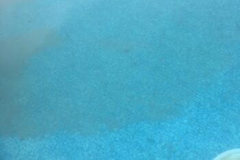 How to Identify Dead Algae in Pool (with pictures)